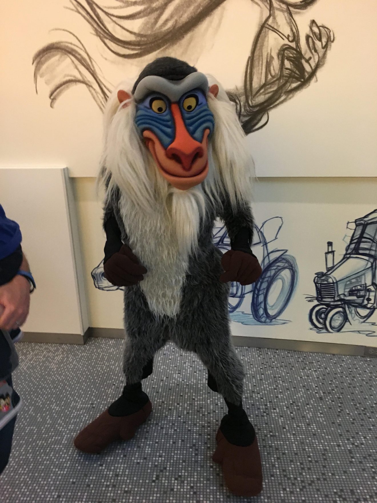 A Fashionista's Experience With Hurricane Irma at Walt Disney World ...