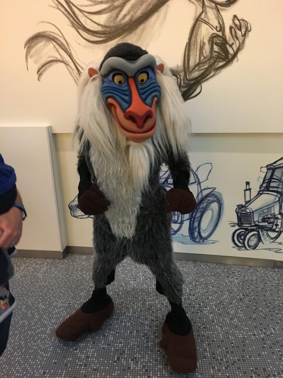 A Fashionista's Experience With Hurricane Irma at Walt Disney World ...