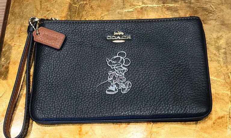 New Minnie Mouse Coach Collection At Disney Springs - bags