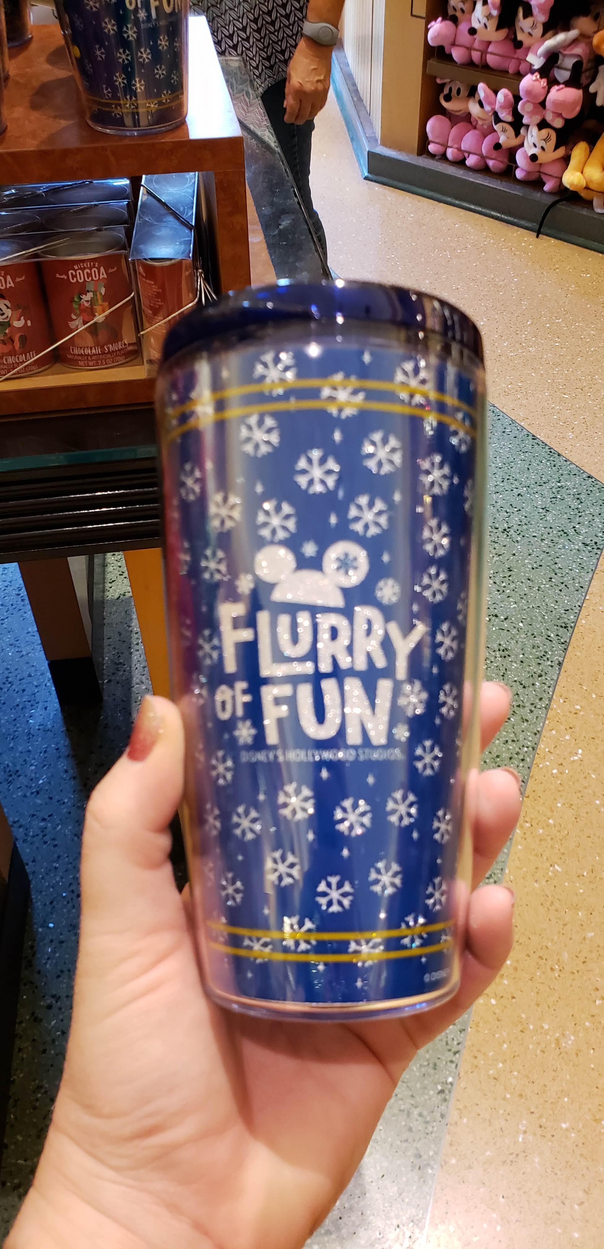 Get Prepped for a Flurry of Fun! - Disney World