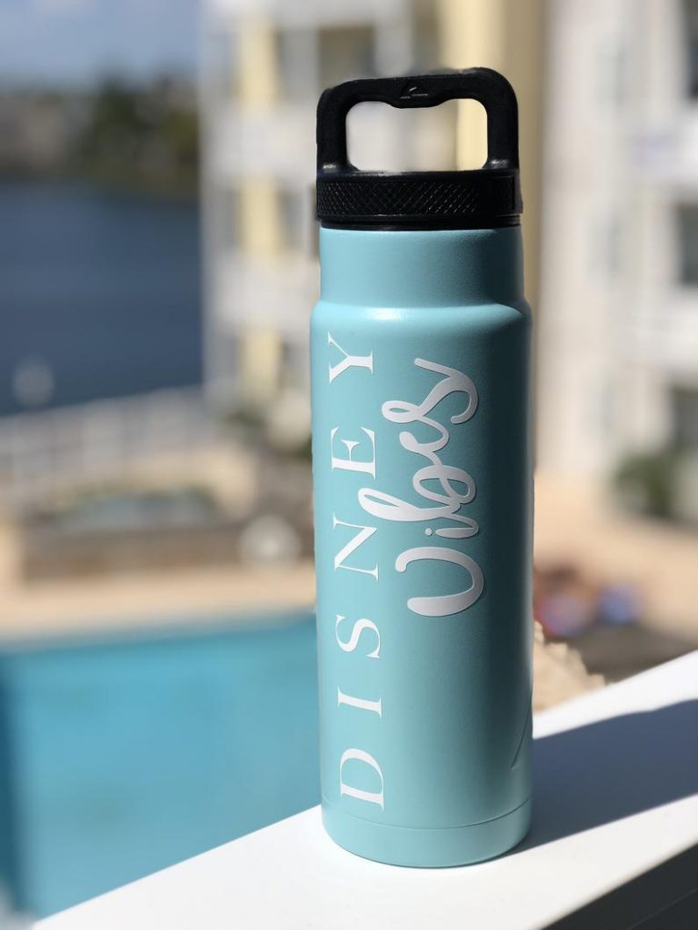 Take this Disney Vibes Tumbler With You Wherever You Go - home