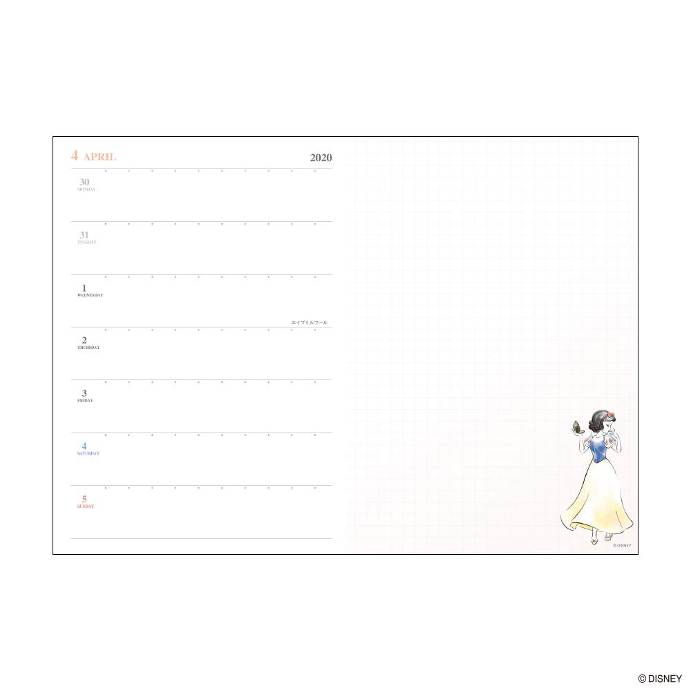 Disney Discovery- Precious Princess Planner - Discovery