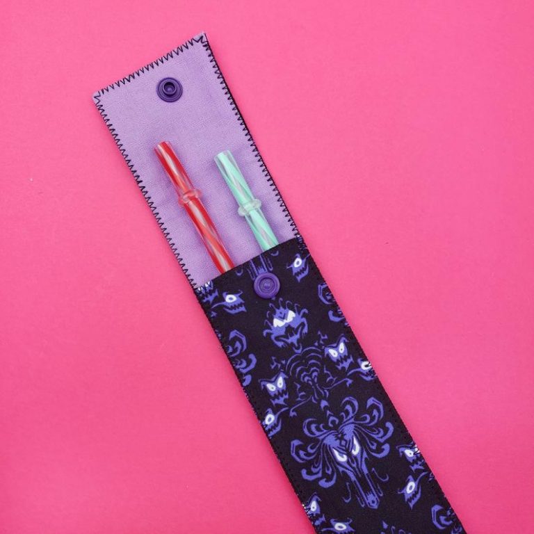 Disney Straw Pouches For Your Eco Friendly Reusable Straws - Style