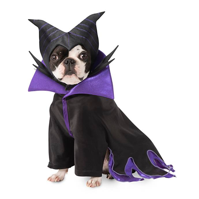 Disney Pet Costumes Have Arrived And They Are Precious - Shop