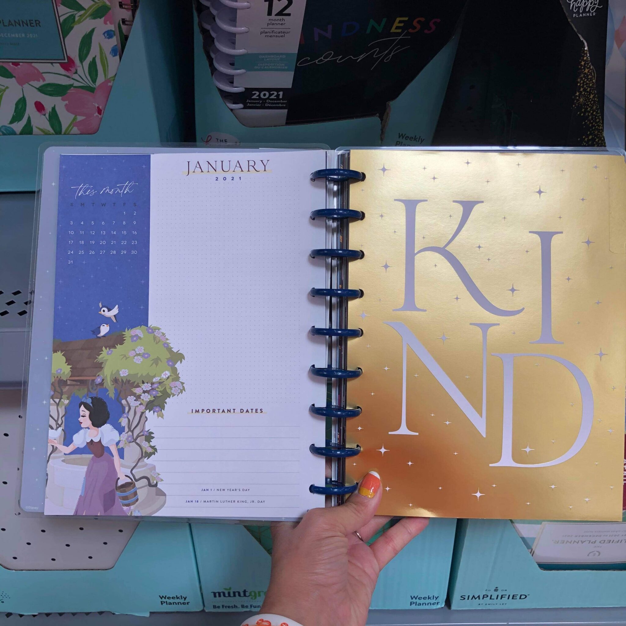 The Disney Princess Happy Planner Collection Has Arrived - home