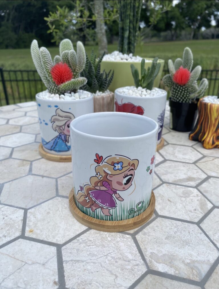 Plant Some Make With Disney Princess Succulent Pots - Decor