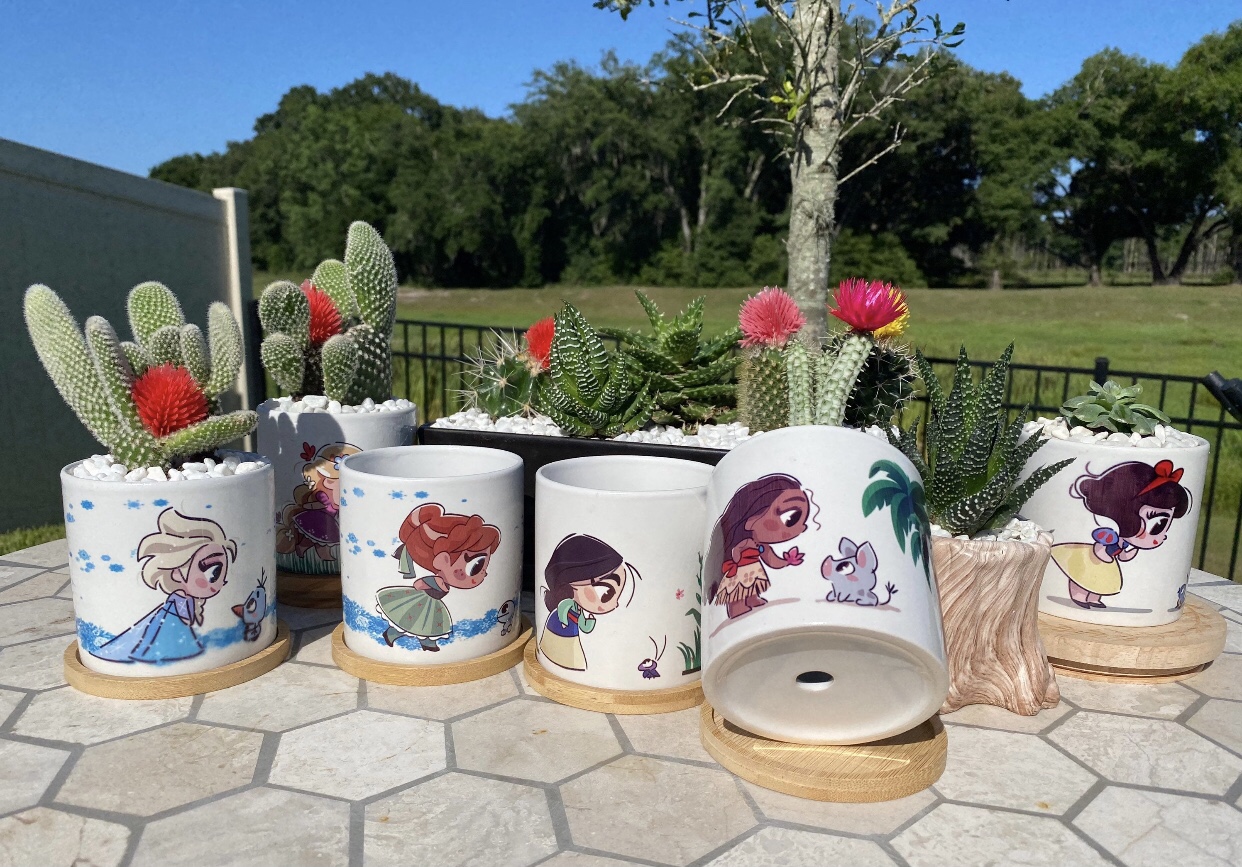 Plant Some Make With Disney Princess Succulent Pots - Decor