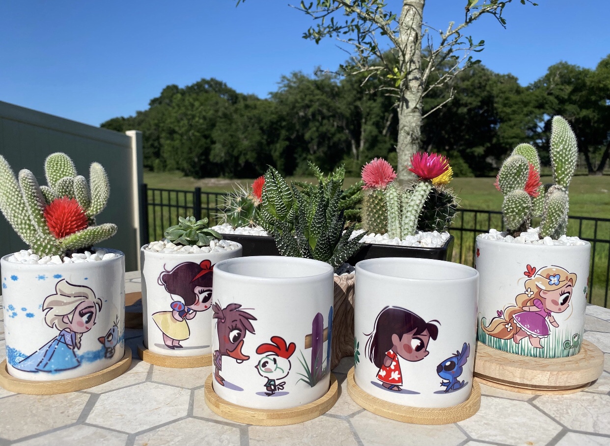 Plant Some Make With Disney Princess Succulent Pots - Decor