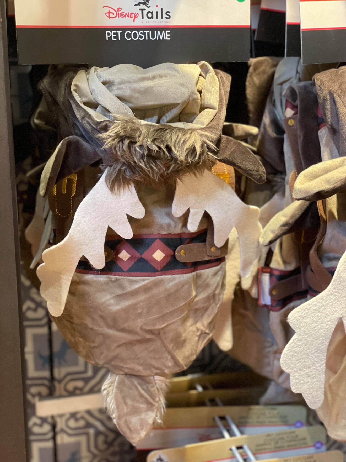 Pet Costumes: Dress Your Sidekick Like Your Favorite Disney Sidekick