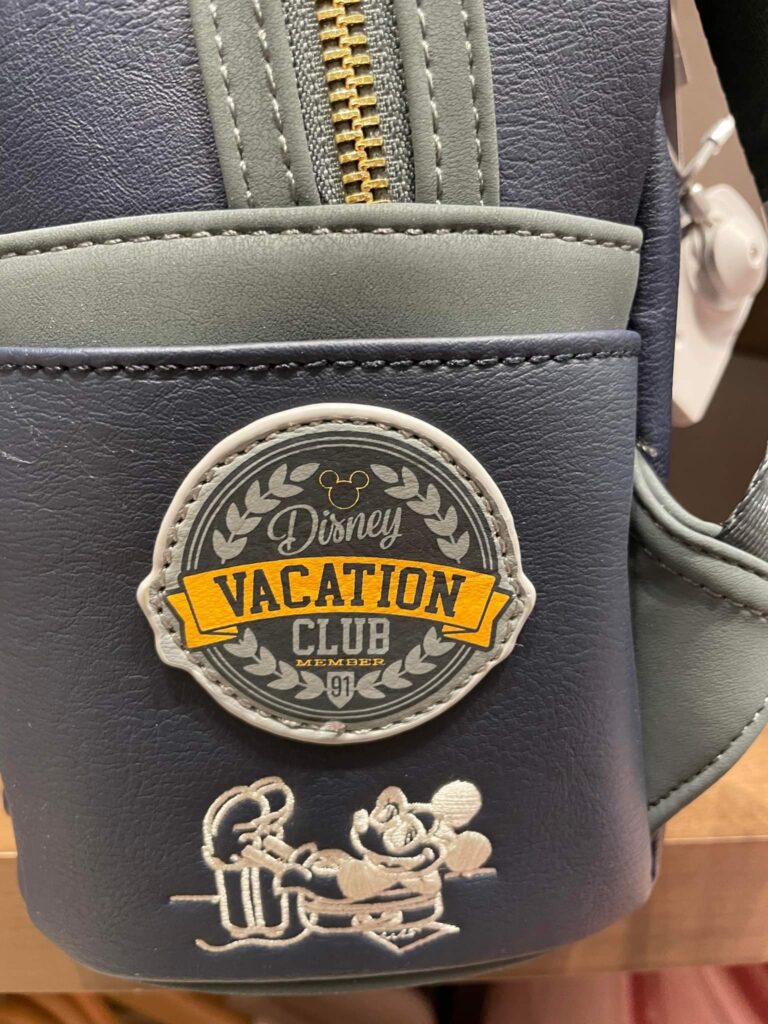 Travel The World With Your DVC Loungefly Backpack! - bags