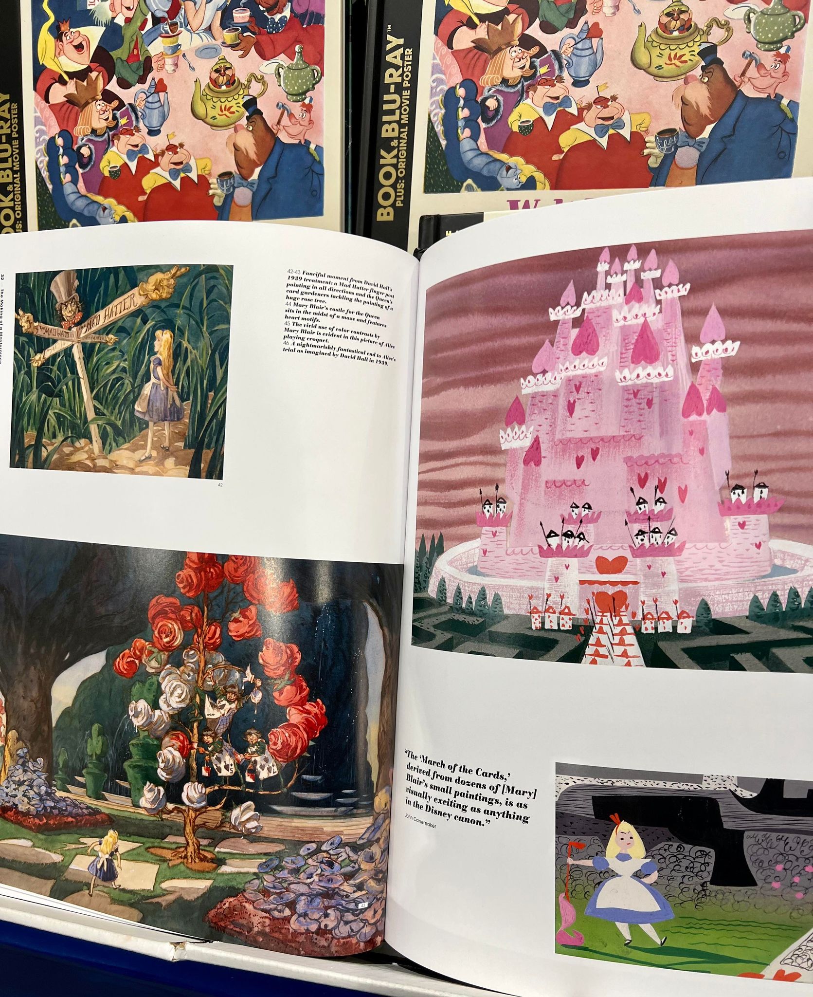 Disney Book & Blu Ray Collector Editions Land at Costco - Shop