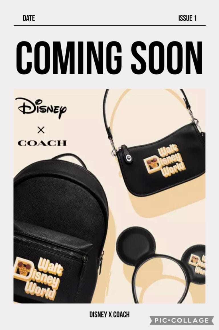 New Disney X Coach Walt Disney World Merch - purses