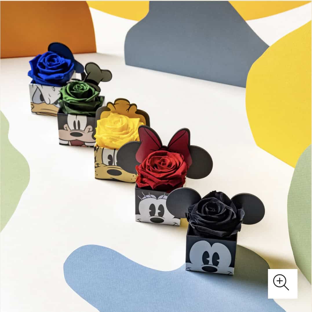 Stop and Smell the Roseshire Roses - Decor