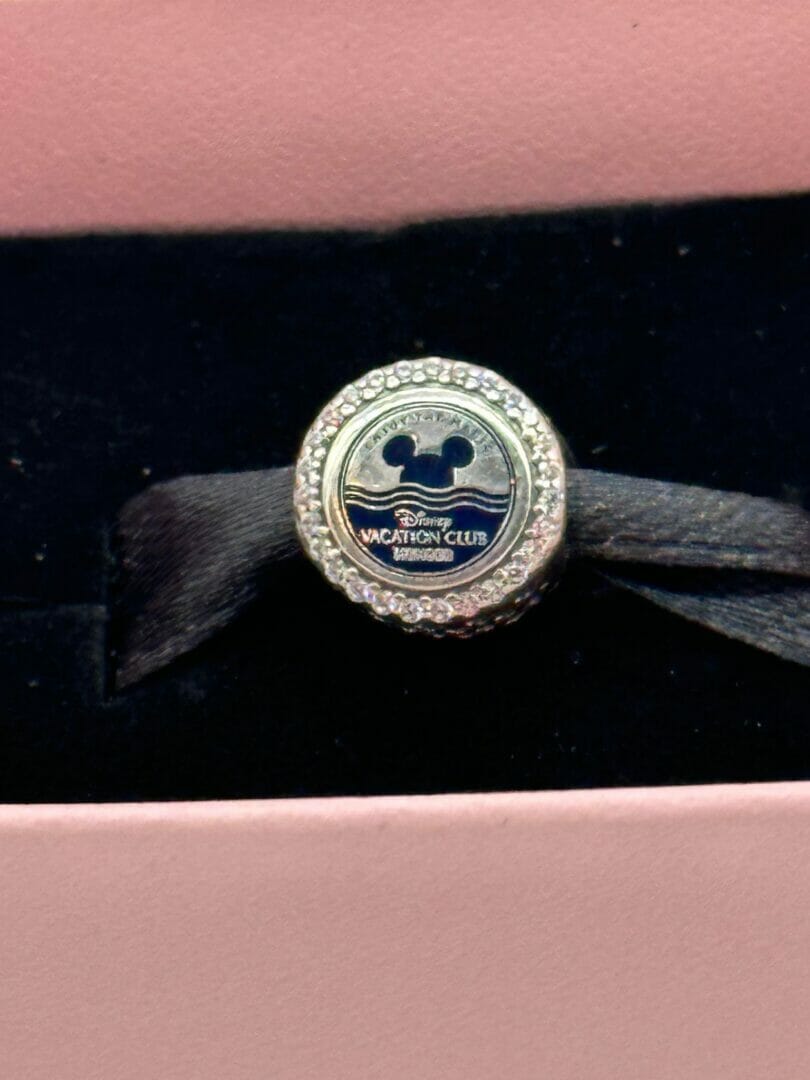DVC Members Can Shine with the New DVC Pandora Charm - Jewelry
