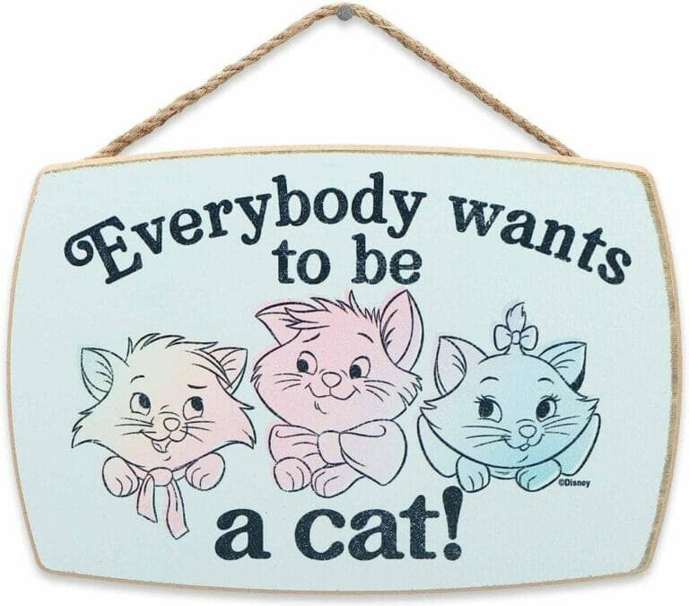 Disney Discovery: Disney Signs