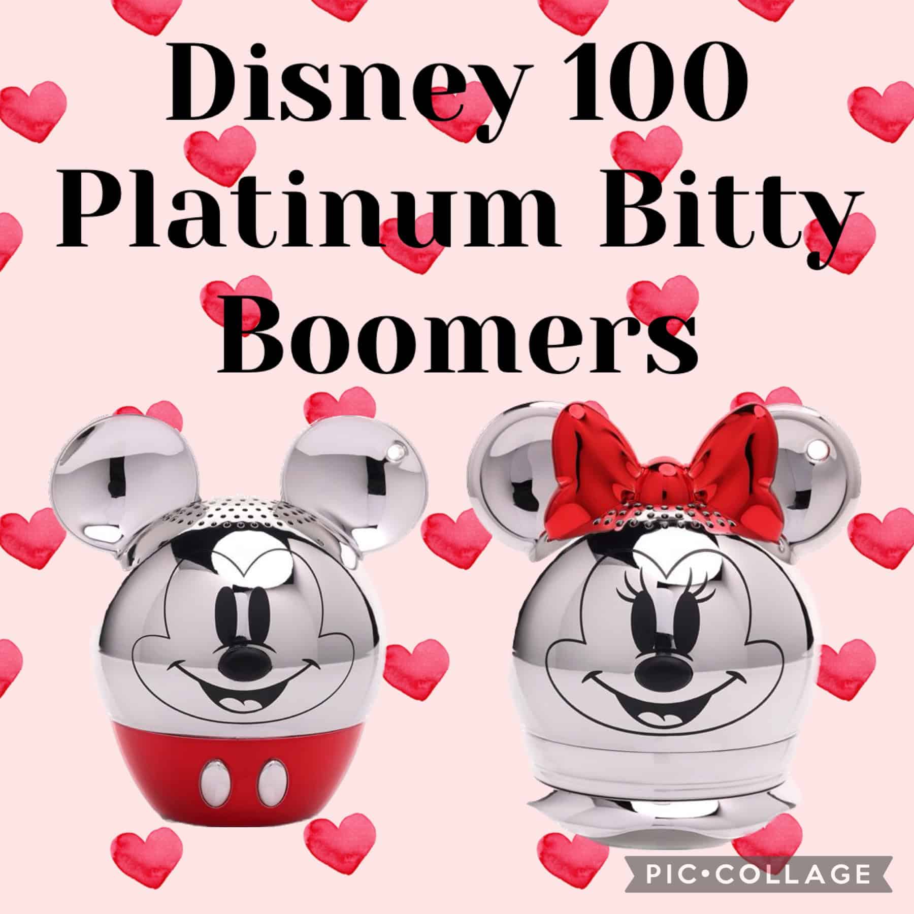 The Disney Fashionista