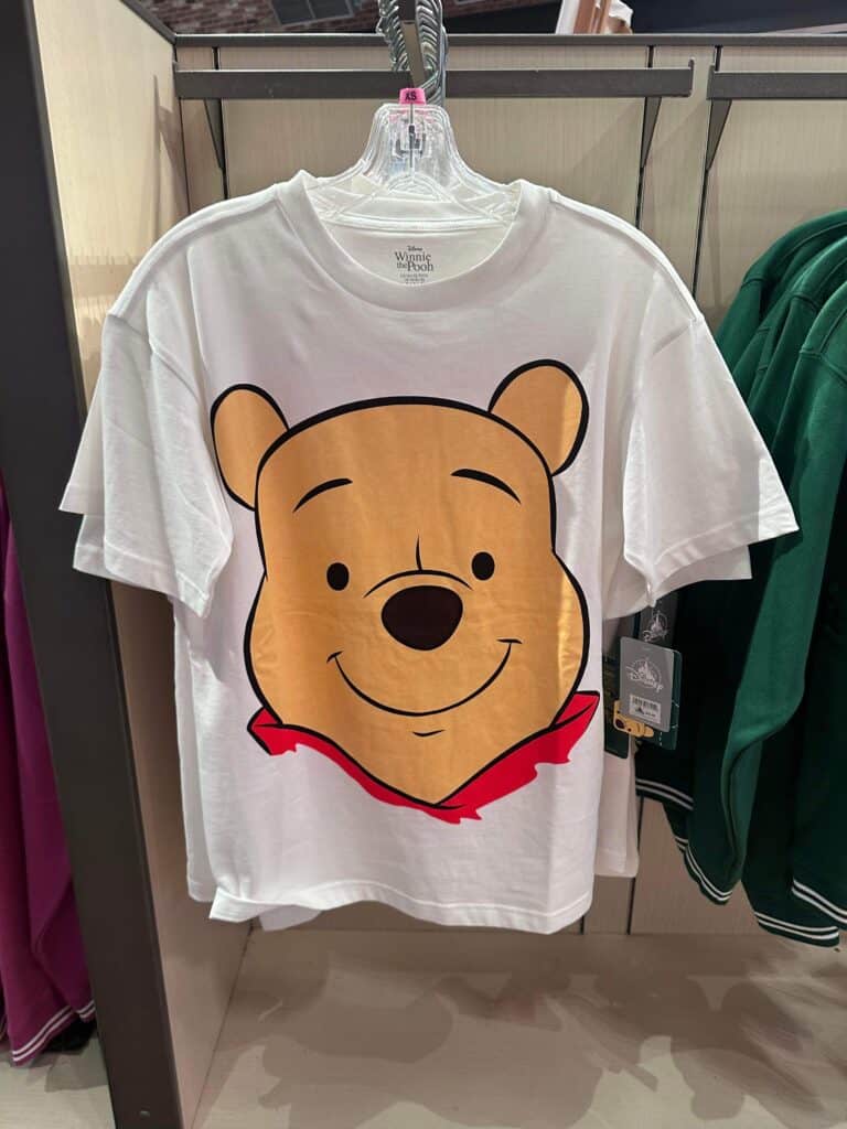 Check Out This Sweet Winnie The Pooh and Friends Collection!