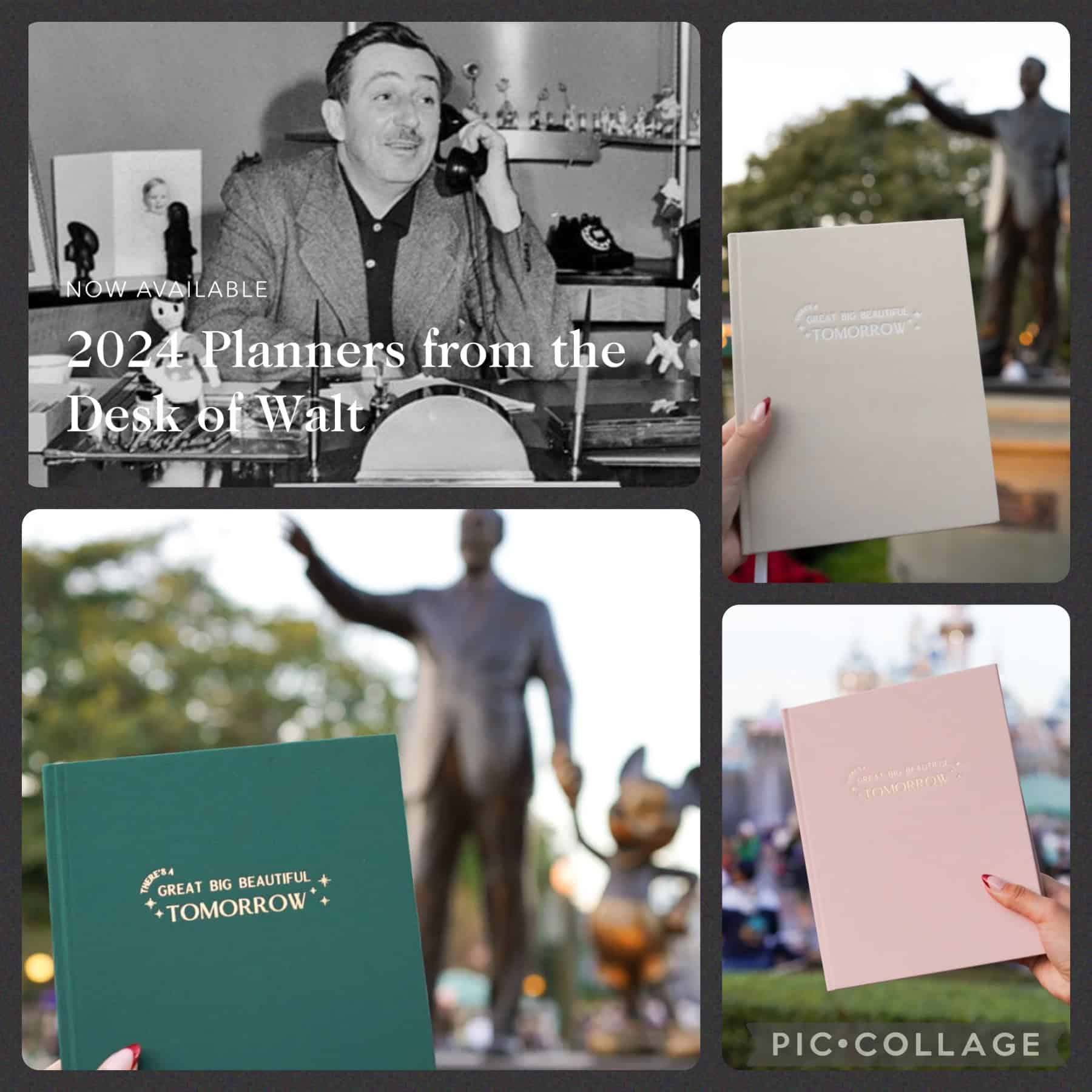 Make Your Pets Feel Magical with the Disney100 x PetSmart Collection ...