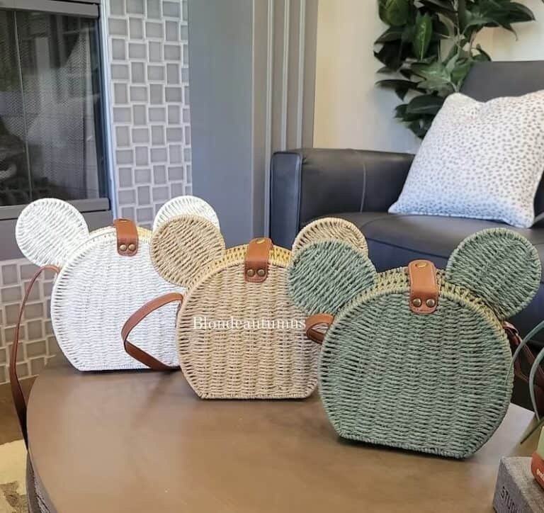 Pre-order this Fun Mickey Bag - bags