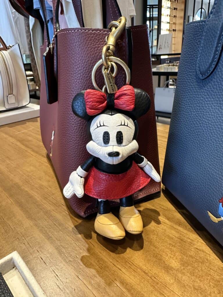 Rainbow Coach Pieces Join Mickey & The Gang At Disney Springs! - bags