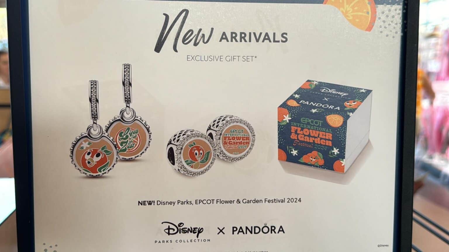 Orange Bird Sweetens Pandora Charm Set - Jewelry