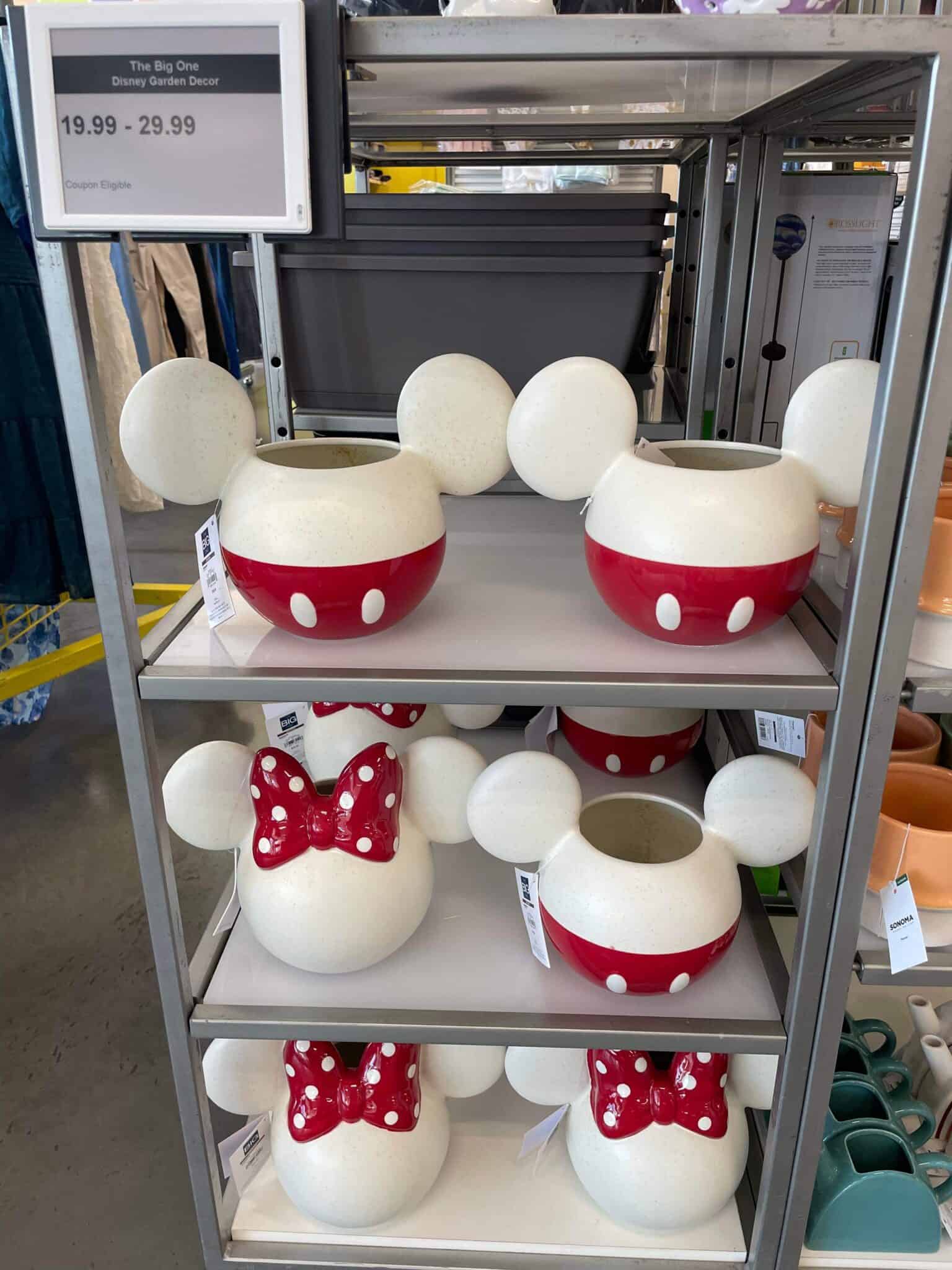 Bloom with Disney - Decor