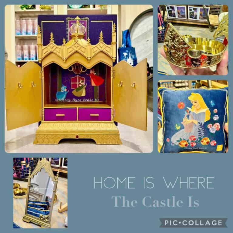 The Disney Fashionista