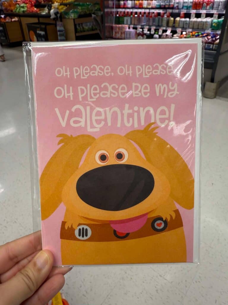 Disney Valentine's Day Finds Land at Target - Decor
