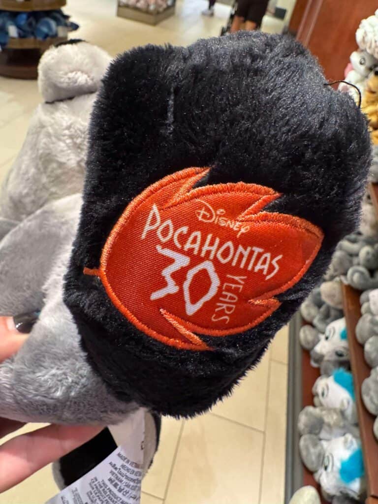 30 Years of Pocahontas Puts its Best Foot Forward - Shop