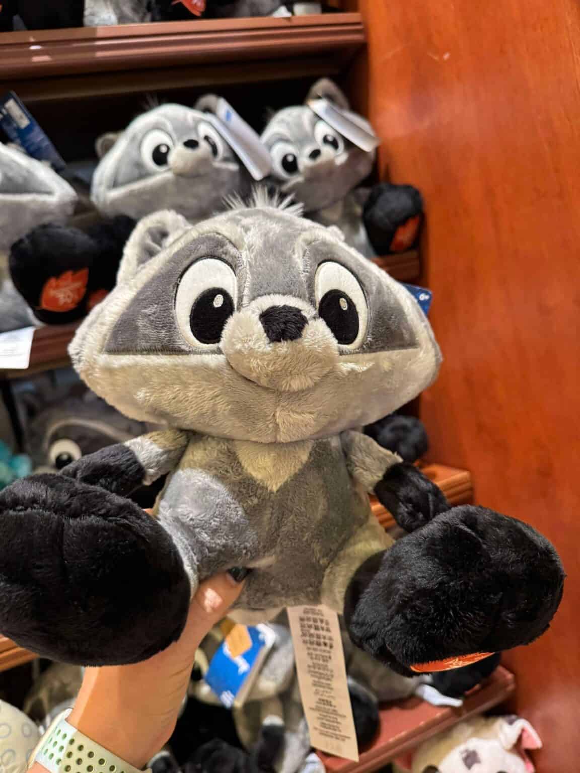 30 Years of Pocahontas Puts its Best Foot Forward - Shop