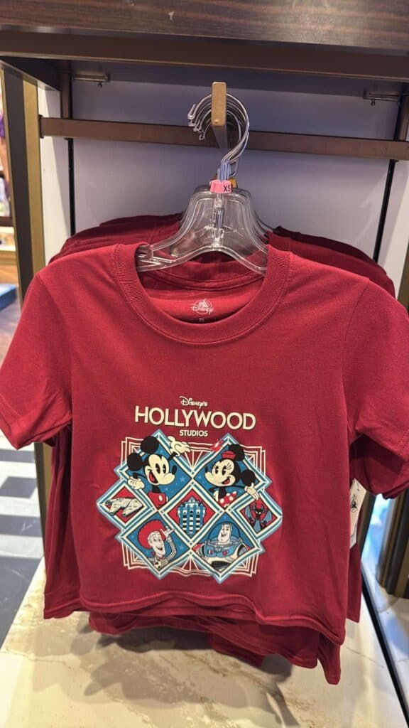 Hollywood Glam Shines In This Hollywood Studios Collection! - bags