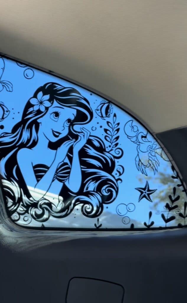 Driving with a Dash of Disney - Decor